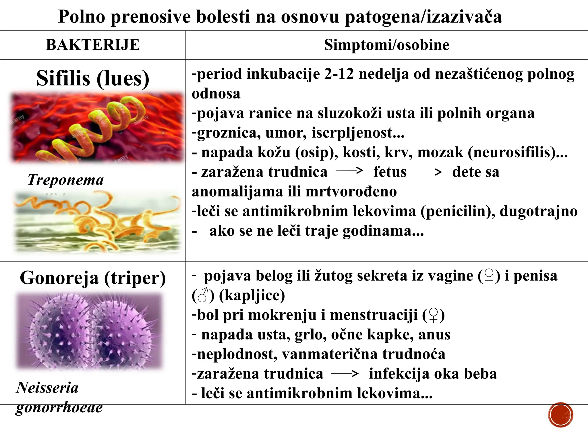 Polno prenosive bolesti.ppt, na osnovu izazivača | PPT