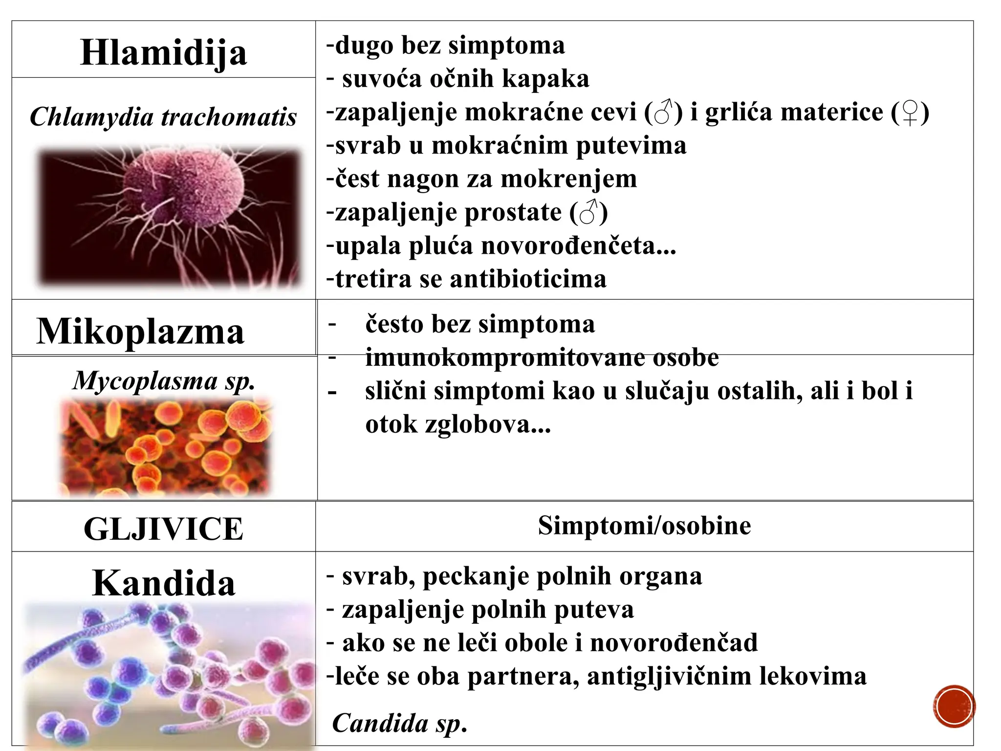 Polno prenosive bolesti.ppt, na osnovu izazivača | PPT