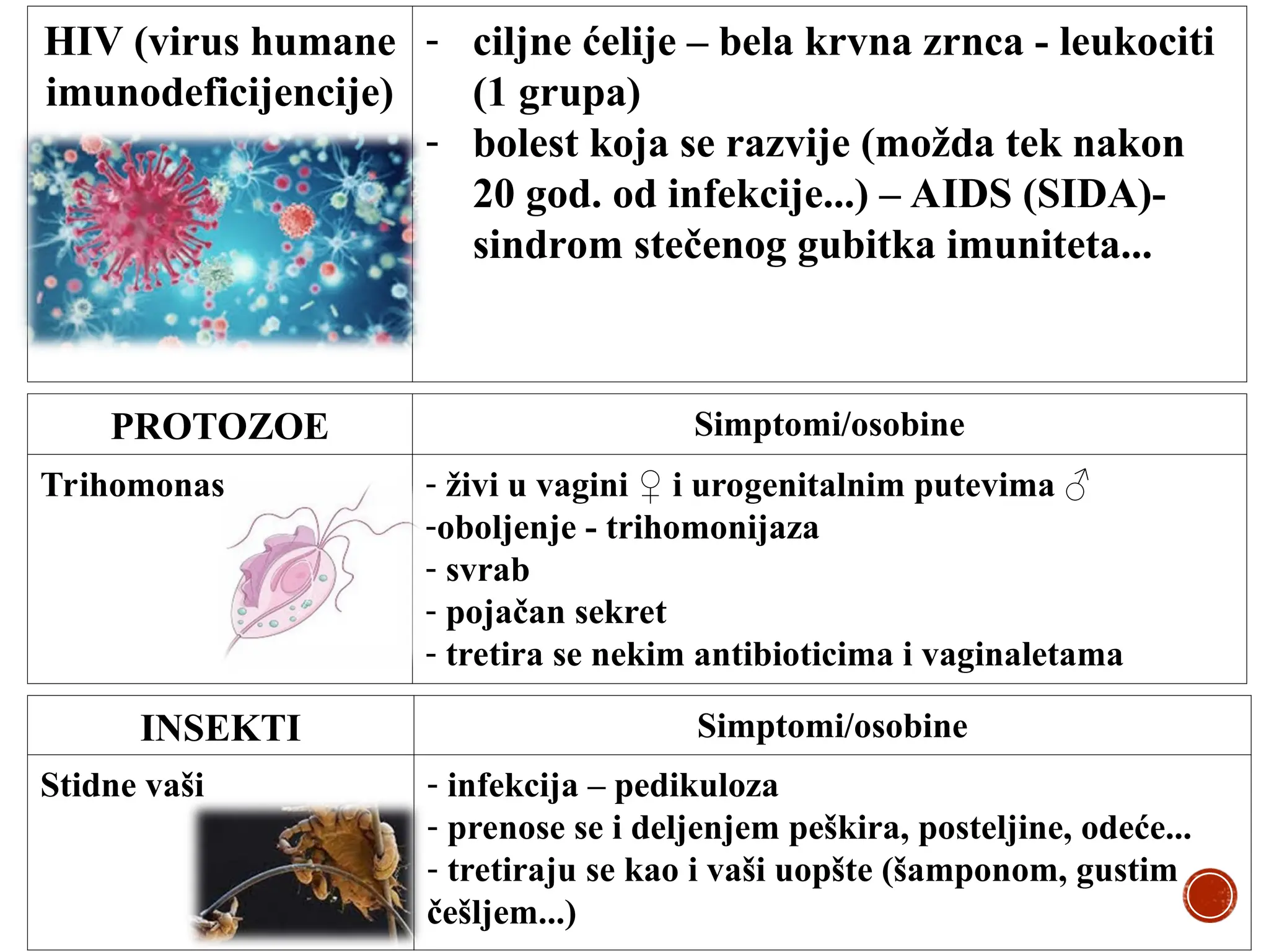 Polno prenosive bolesti.ppt, na osnovu izazivača | PPT