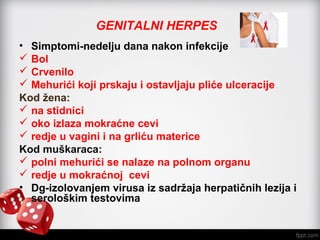 Polno prenosive bolesti powerpoint | PPT