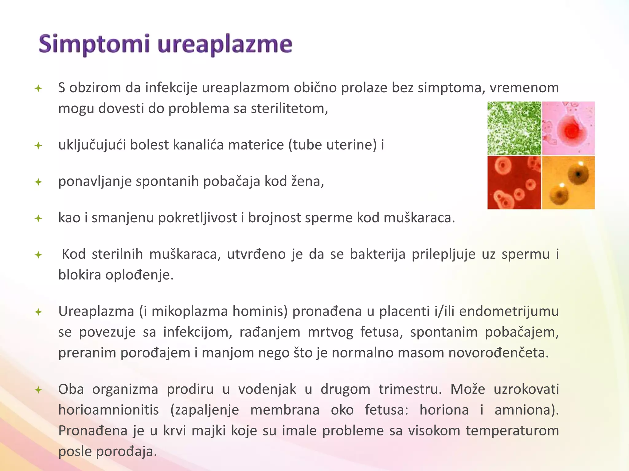 Polno prenosive bolesti std | PPTX