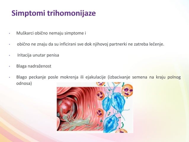 Polno prenosive bolesti std | PPTX