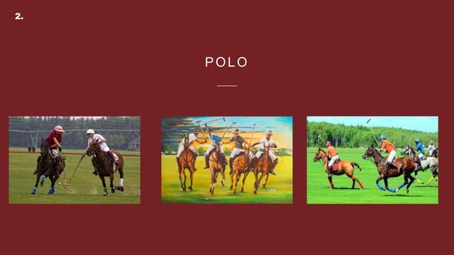 POLO.pptx