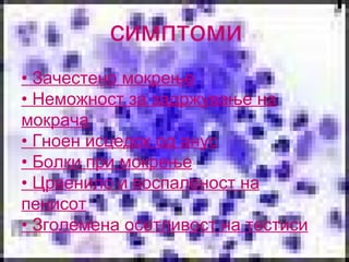 Polovi Bolesti | PPT