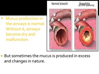 Respiratory Physiology | PPTX