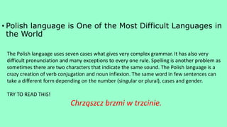 Everything you should know about Poland | PPTX