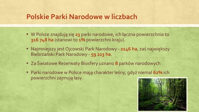 Polskie parki narodowe | PPT