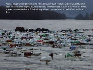 Poluare | PPTX