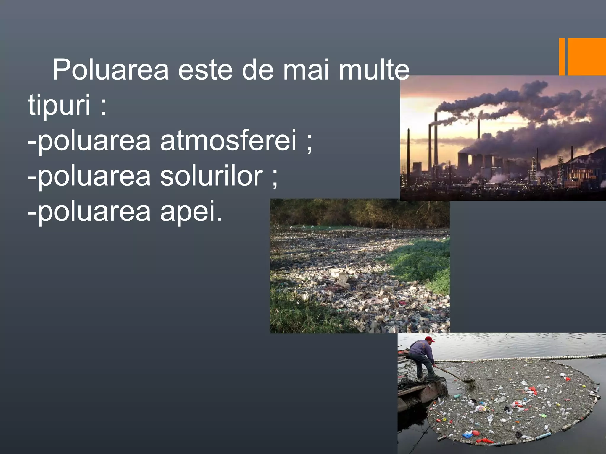 Poluarea | PPT