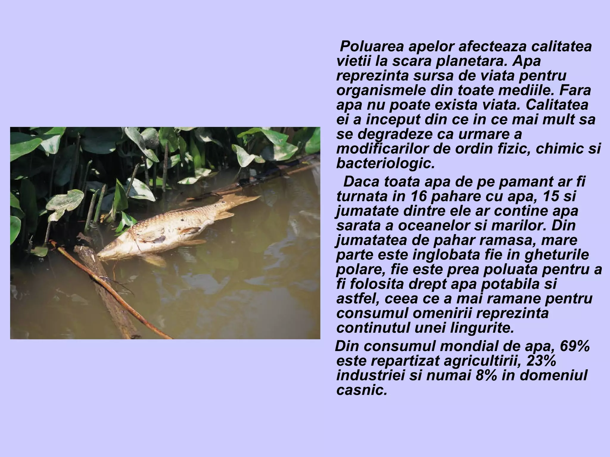Poluarea apei | PPS