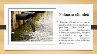 Poluarea apei | PPTX