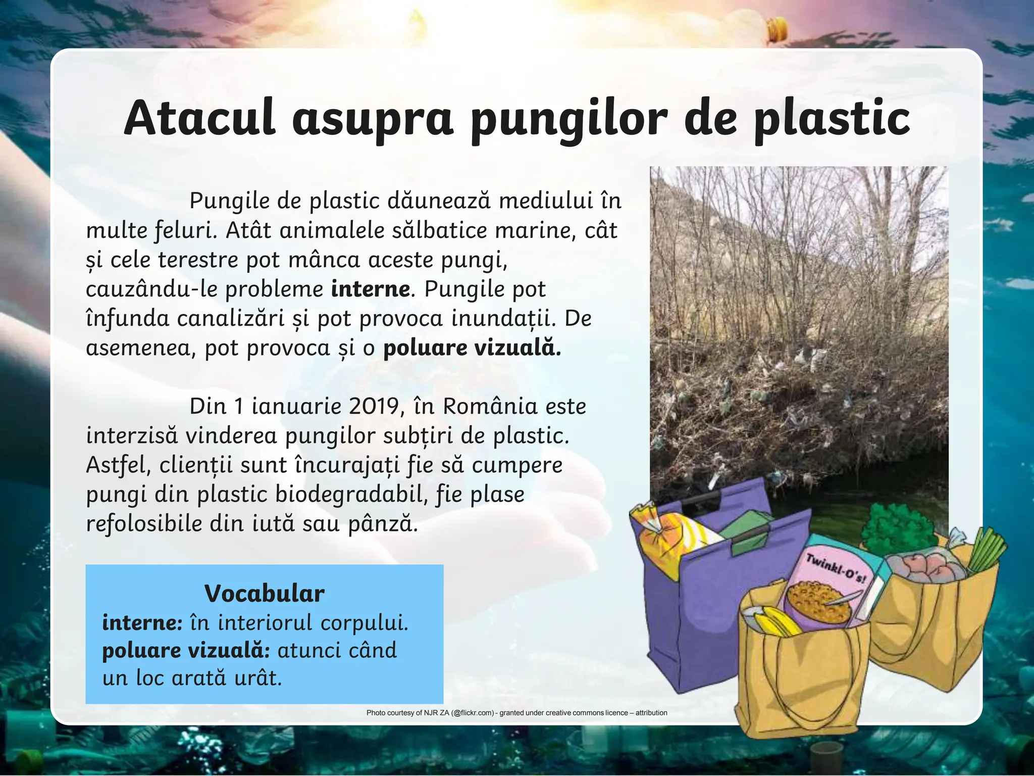 Poluarea cu plastic | PPTX