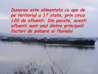 Poluarea dunarii | PPT