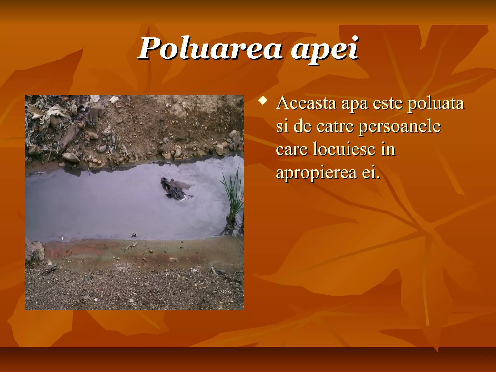 Poluarea mediului | PPT