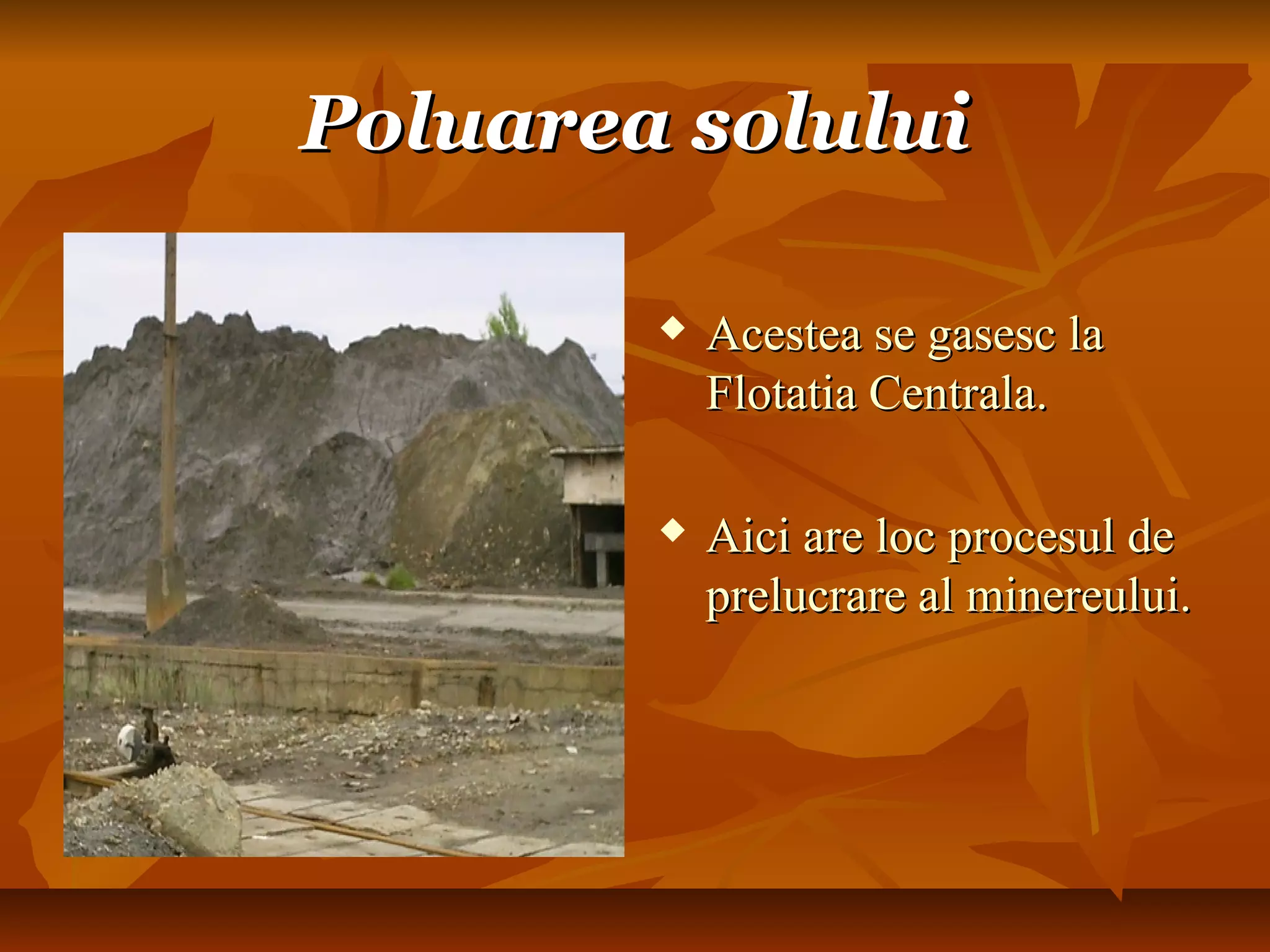 Poluarea mediului | PPT