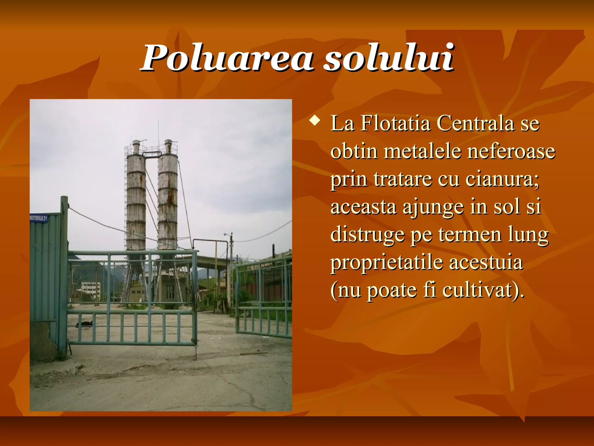 Poluarea mediului | PPT