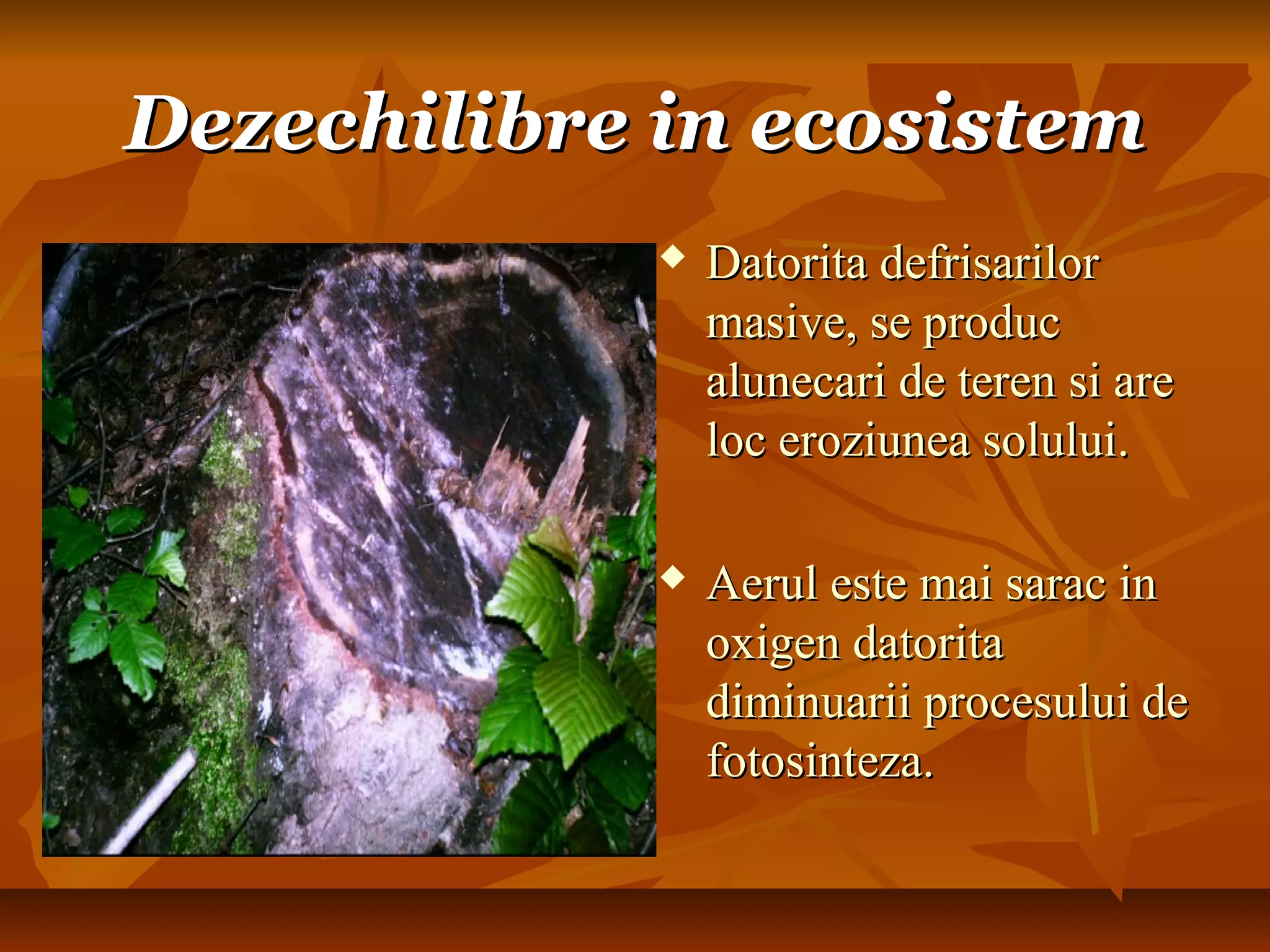 Poluarea mediului | PPT