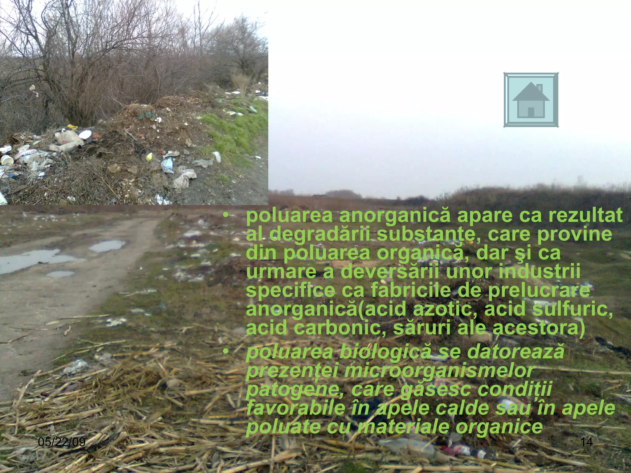 Poluarea Mediului îNconjurăTor | PPT