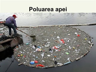 Poluarea mediului pietrari | PPT
