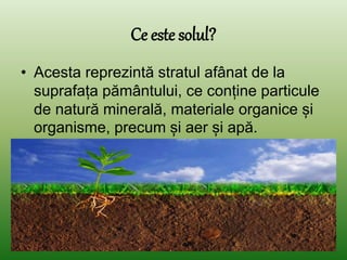 Poluarea solului, 10 slide uri, perfect pt geografie, ed tehnologica ...