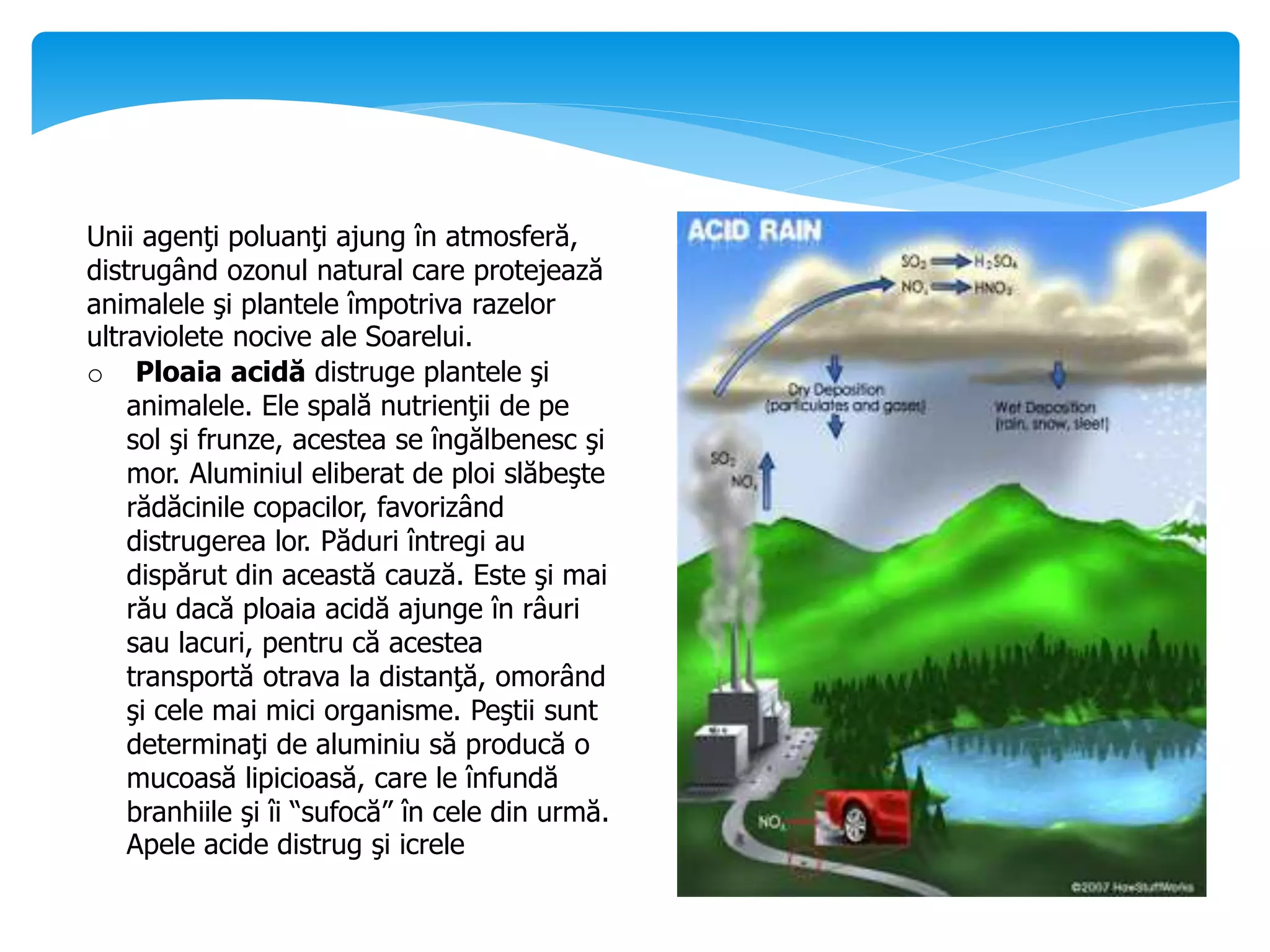poluare proiect bio.pptx