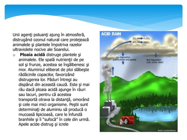 poluare proiect bio.pptx