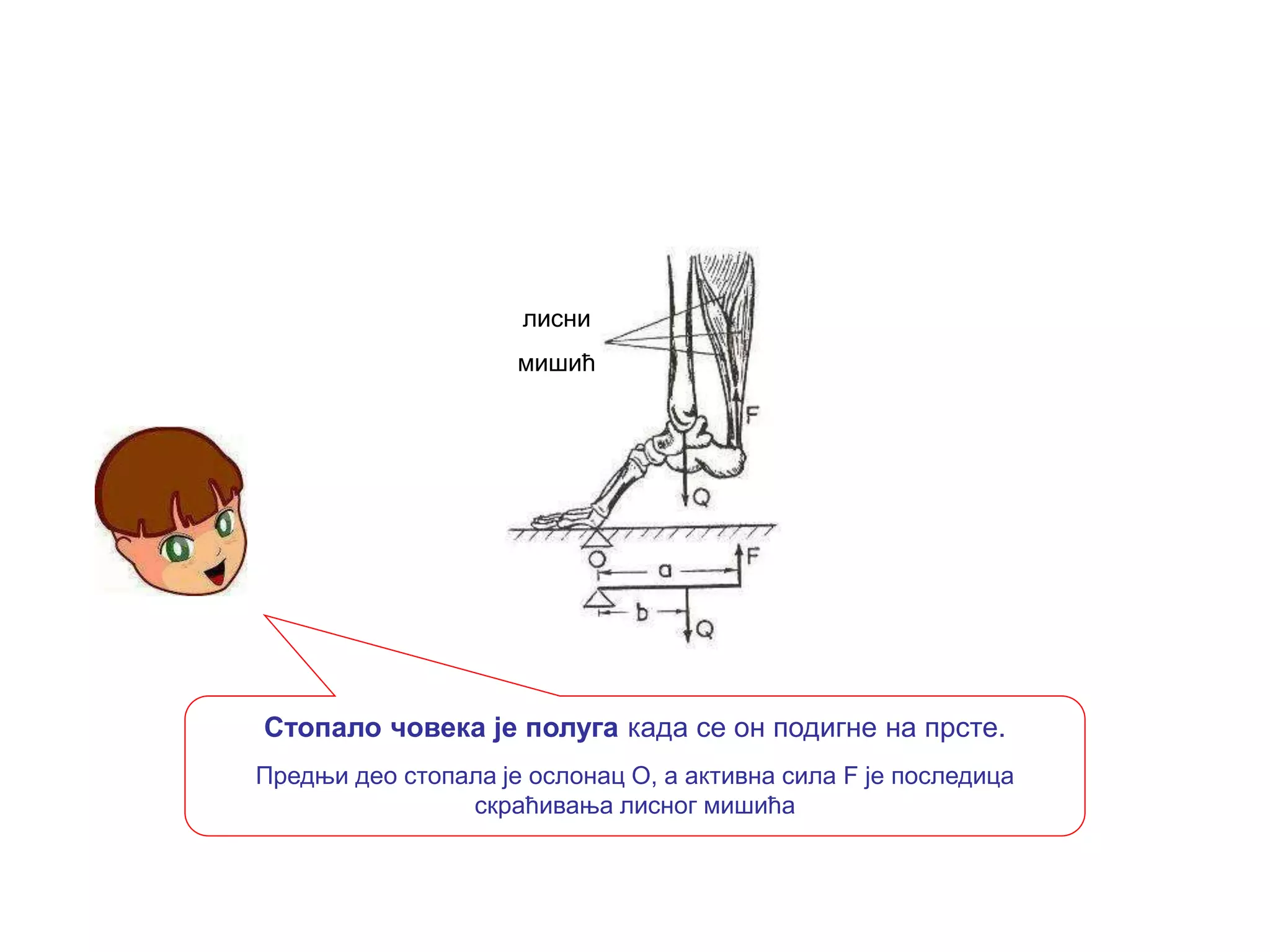 Poluga, moment sile | PPT