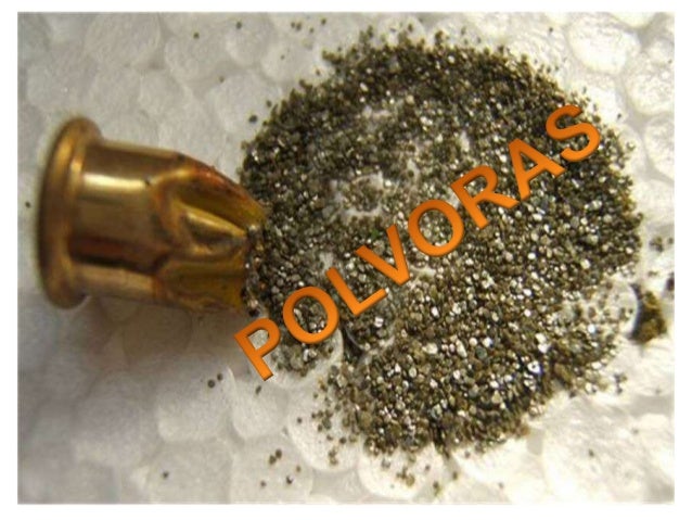 Polvoras