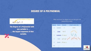 Polynomials | PPTX