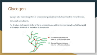 CHEMISTRY OF CARBOHYDRATES: POLYSACHHRIDES | PPT