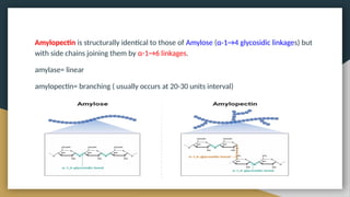 CHEMISTRY OF CARBOHYDRATES: POLYSACHHRIDES | PPTX