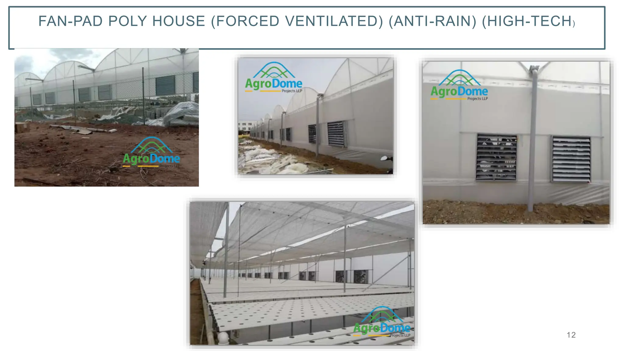 Poly-film-Prefab cover agricultural greenhouse-polyhouse structure.pptx