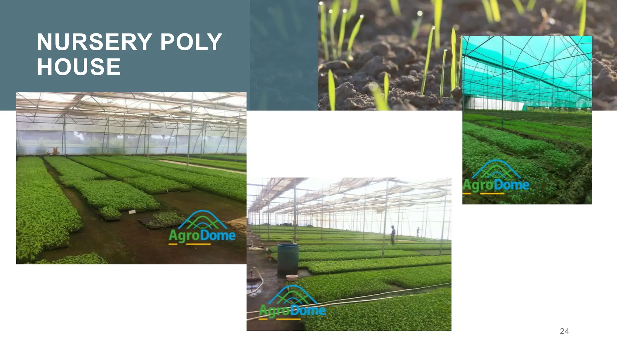 Poly-film-Prefab cover agricultural greenhouse-polyhouse structure.pptx