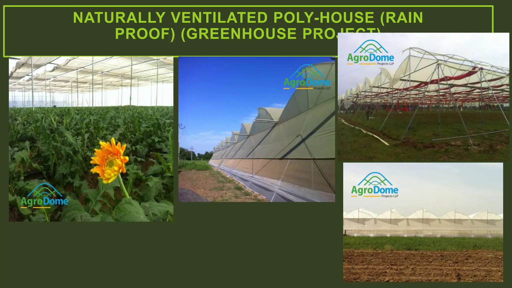 Poly-film-Prefab cover agricultural greenhouse-polyhouse structure.pptx