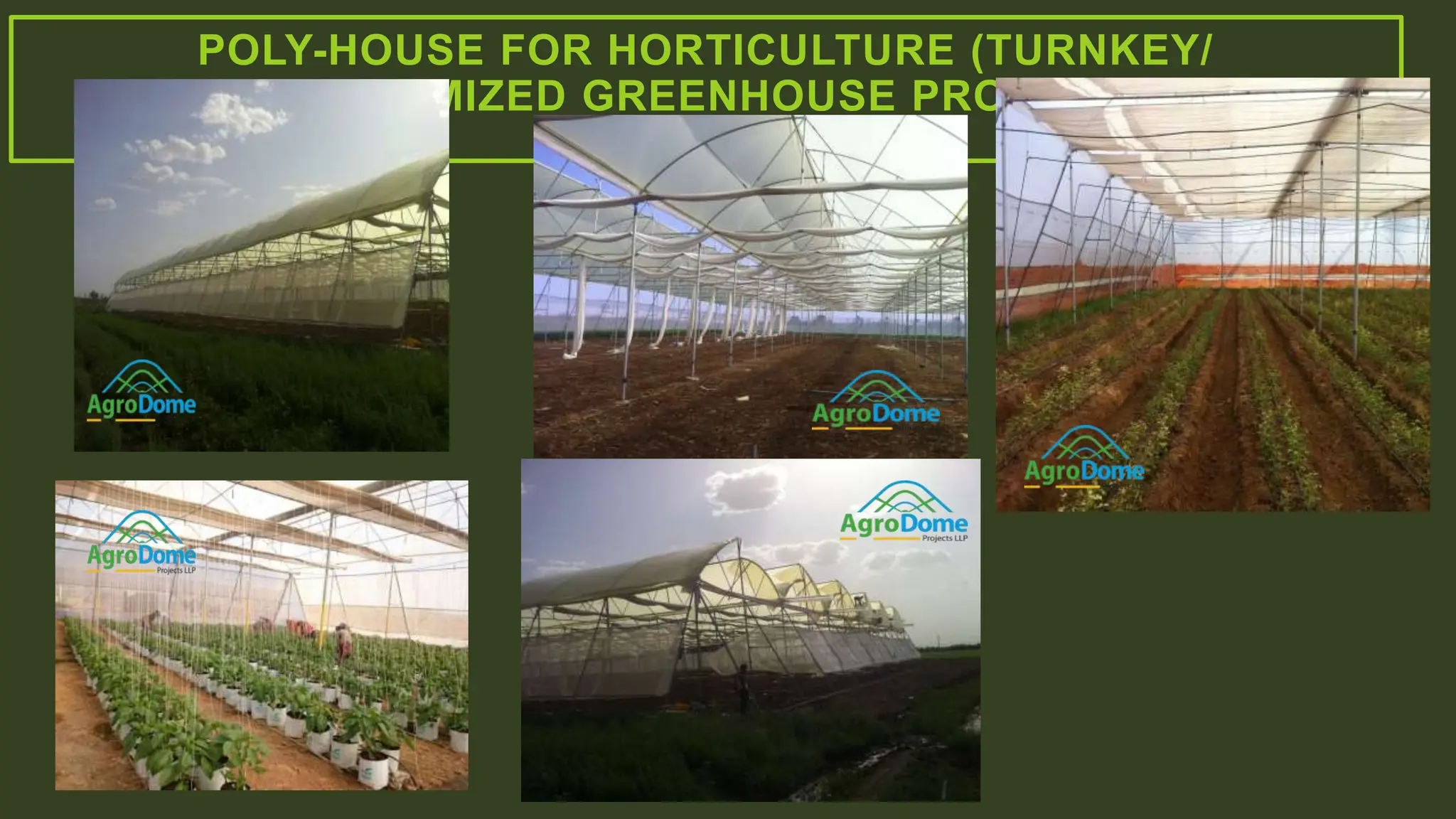 Poly-film-Prefab cover agricultural greenhouse-polyhouse structure.pptx