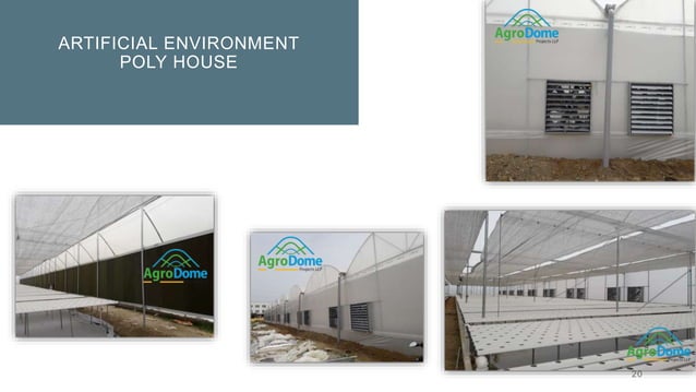 Poly-film-Prefab cover agricultural greenhouse-polyhouse structure.pptx