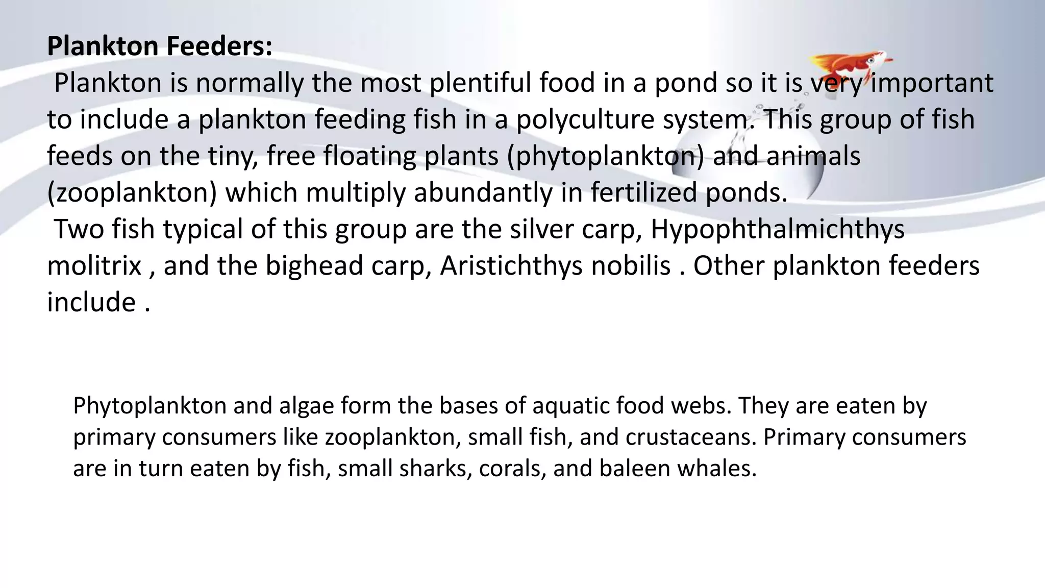 poly-presentation.pptx