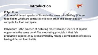 poly-presentation.pptx