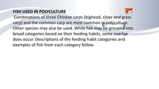 poly-presentation.pptx