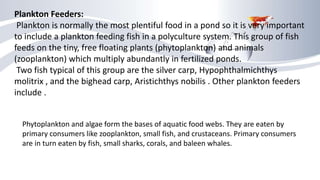 poly-presentation.pptx