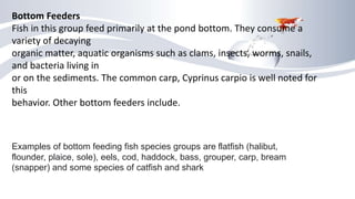 poly-presentation.pptx