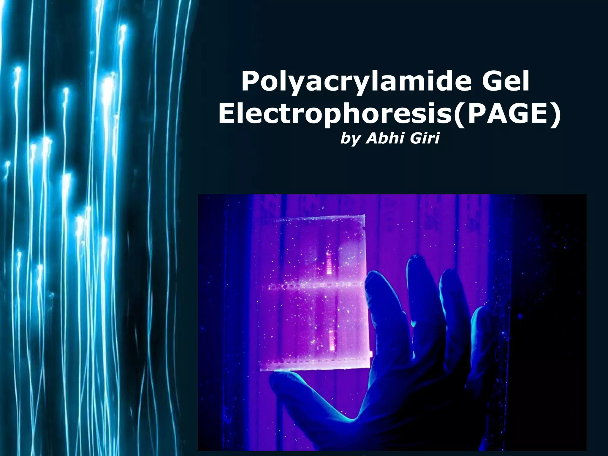 Polyacrylamide gel electrophoresis | PPT