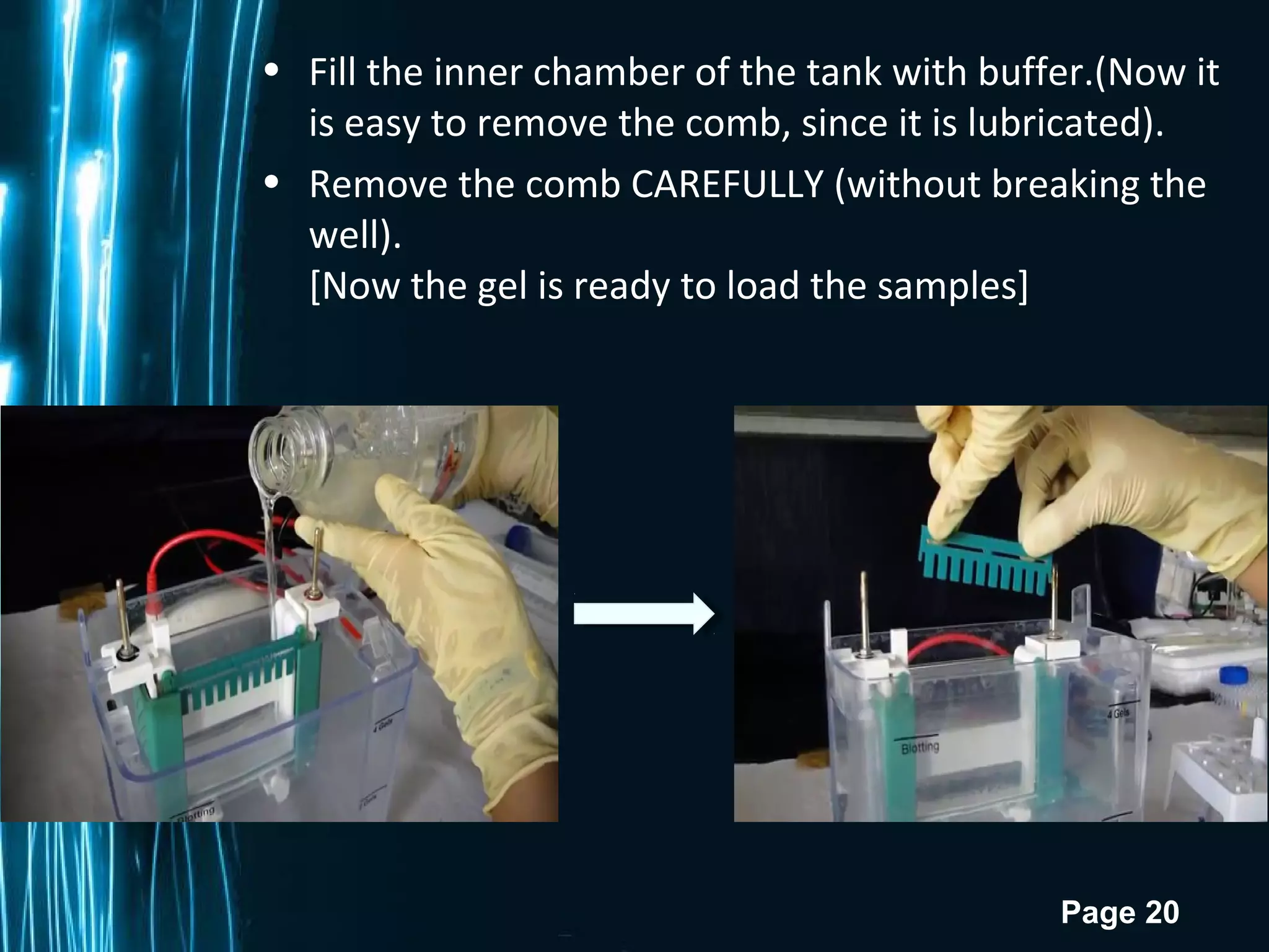 Polyacrylamide gel electrophoresis | PPT