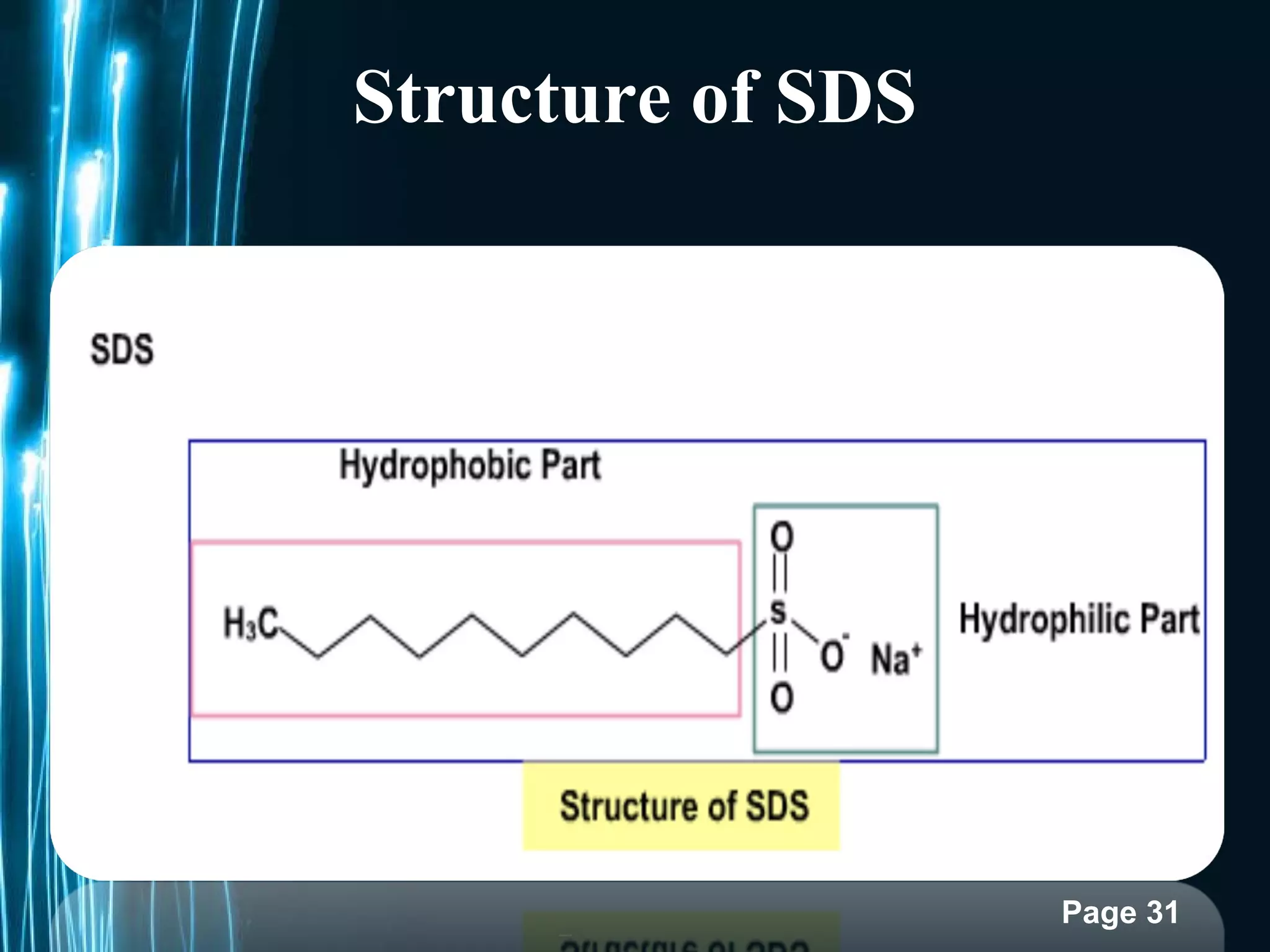 Polyacrylamide gel electrophoresis | PPT