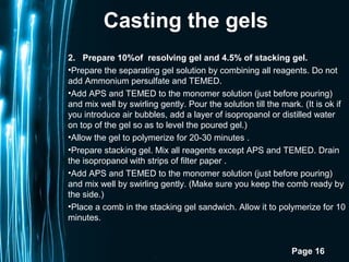 Polyacrylamide gel electrophoresis | PPT