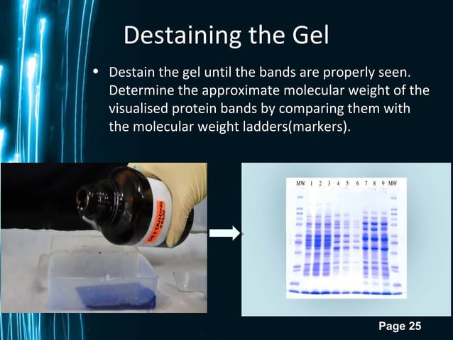Polyacrylamide gel electrophoresis | PPT | Chemistry | Science
