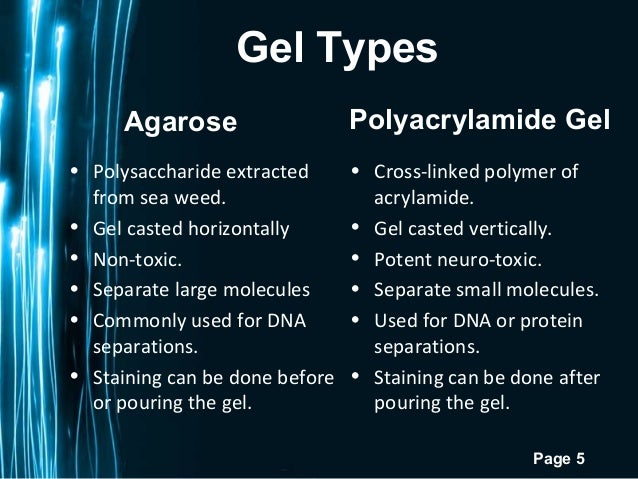 Polyacrylamide gel electrophoresis