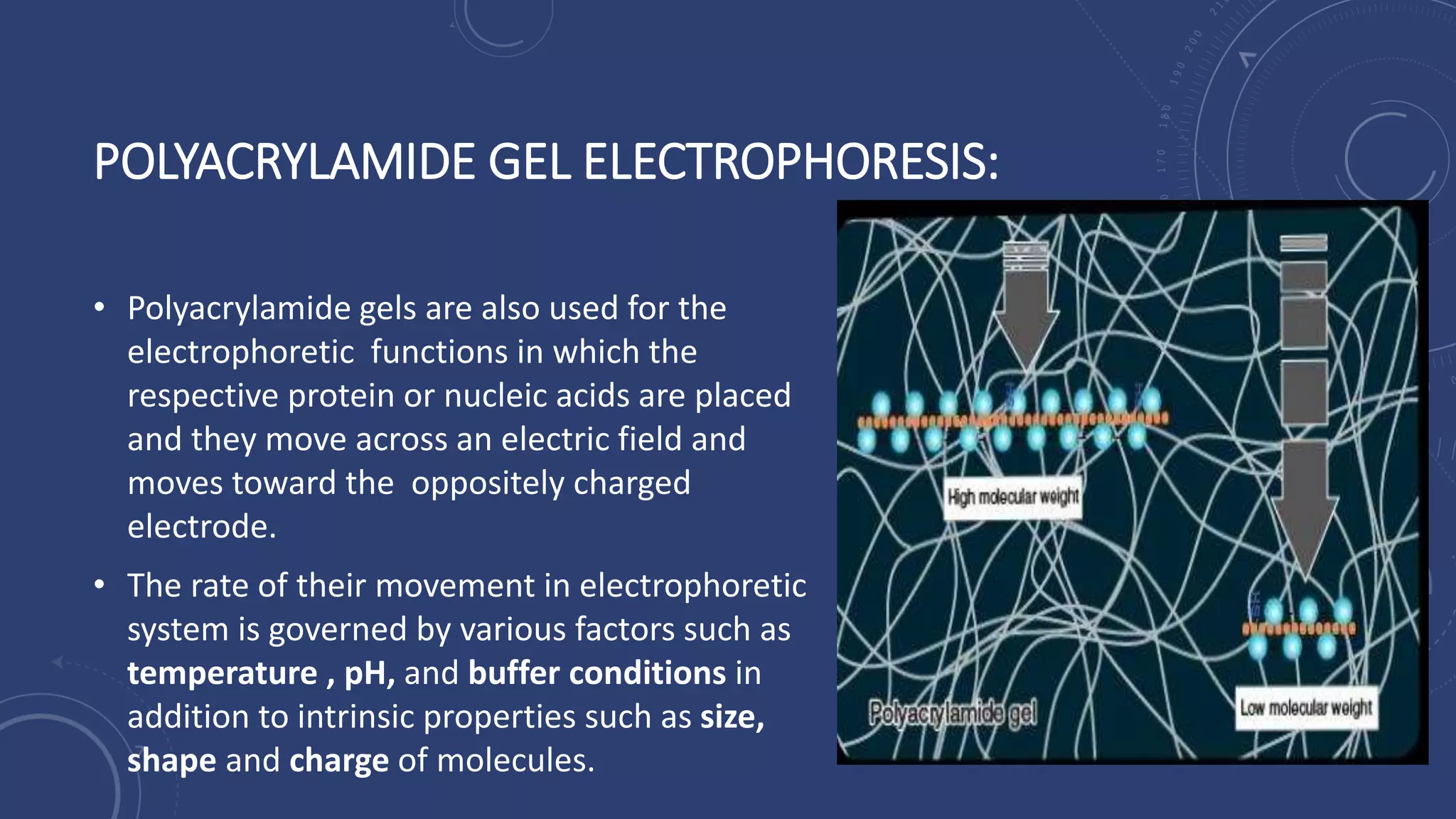 Polyacrylamide gel electrophoresis | PPTX