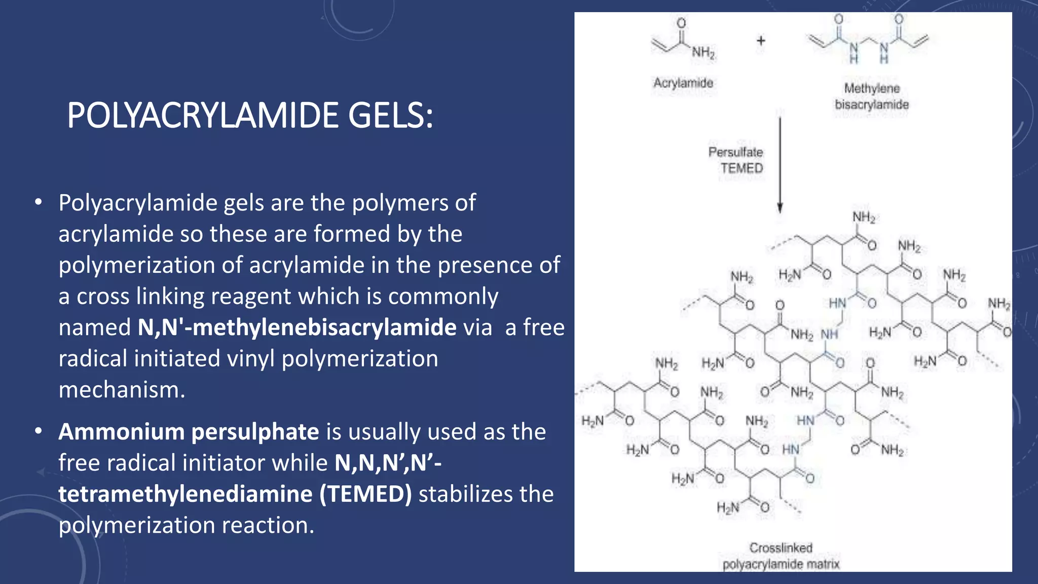 Polyacrylamide gel electrophoresis | PPTX