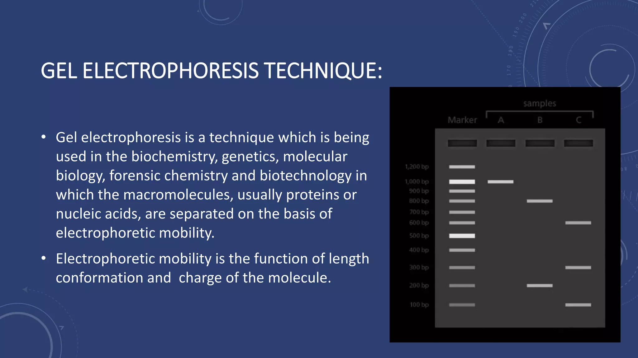 Polyacrylamide gel electrophoresis | PPTX